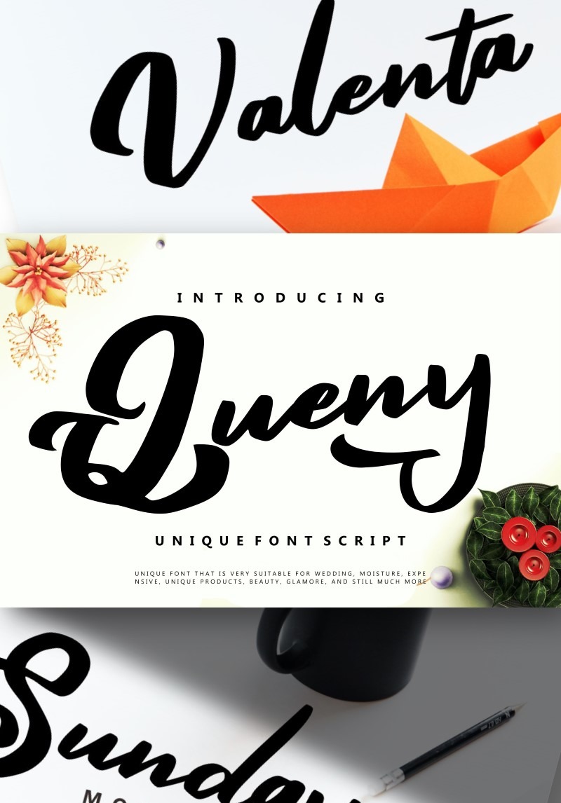 Queny | Unique Script Font #84000