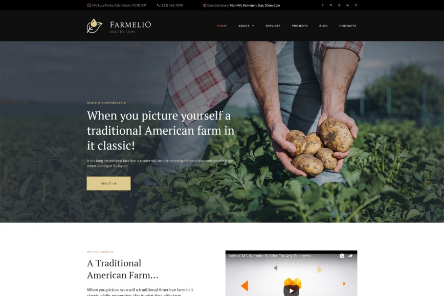 Farm Website Template for Local Organic Farms - MotoCMS
