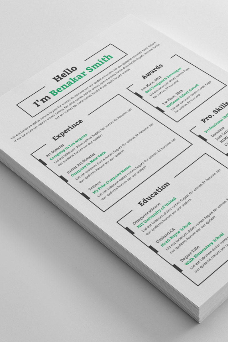 Plantillas de CV | Curriculum Vitae Plantilla | TemplateMonster