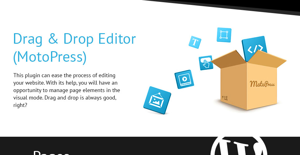 Software Company Responsive WordPress Theme - TemplateMonster