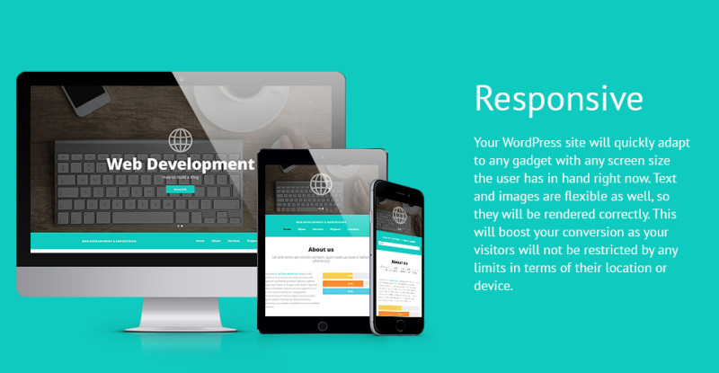 Web Development & Advertising - Web Development Responsive Website Template